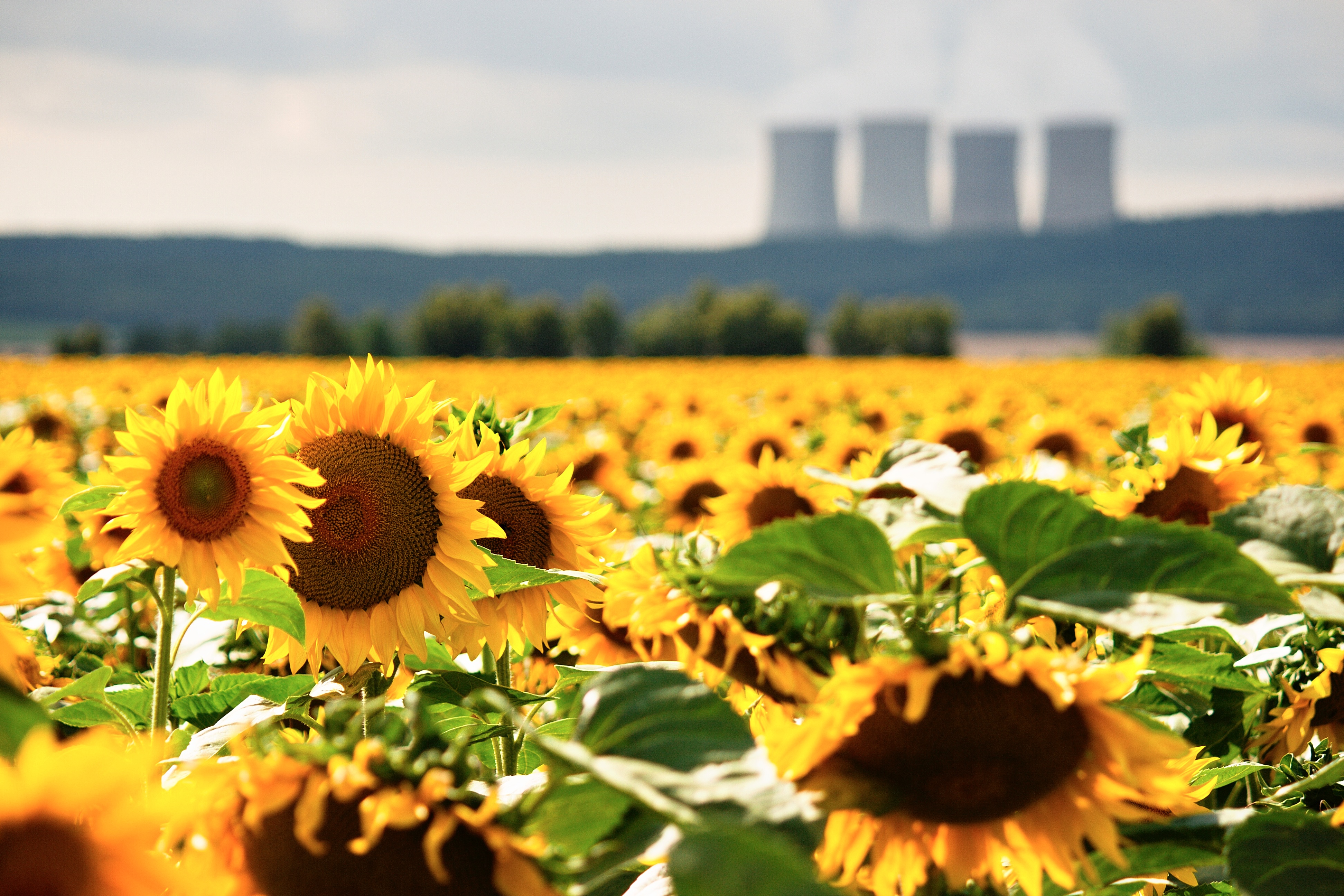 Energetická divize CE INDUSTRIES na WNE 2025 v Paříži! | MICO